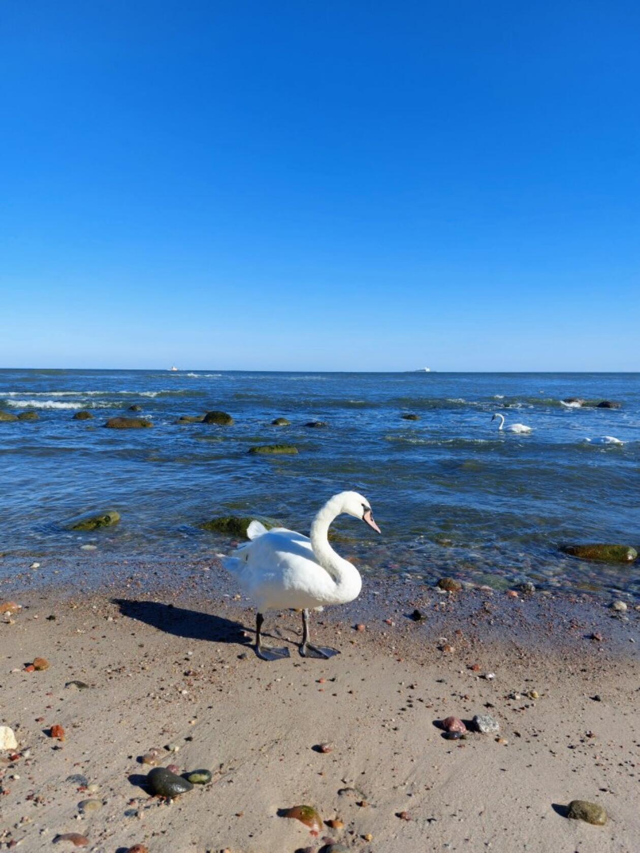 Если не интересны люди, что чем можно увлечься? - Askee - вопросы и ответы