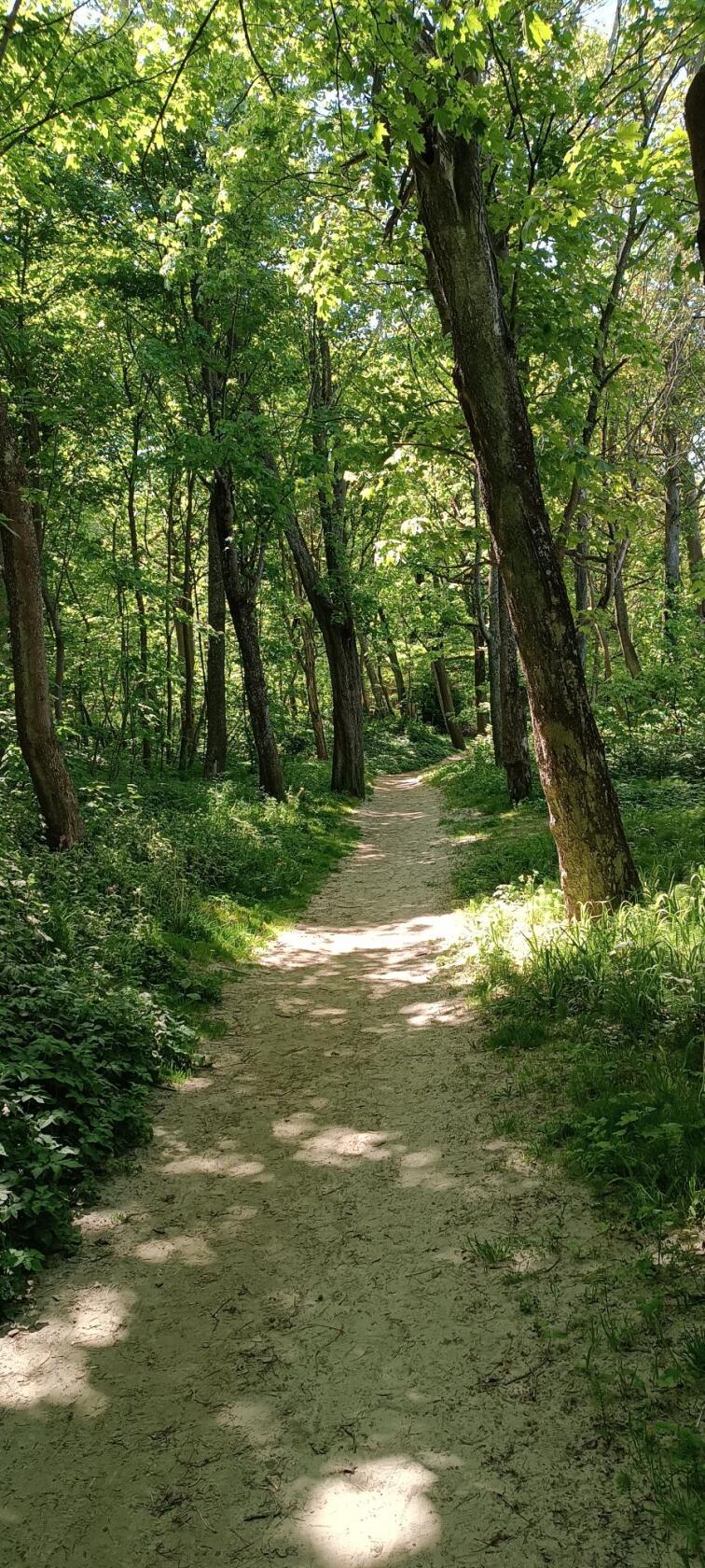 В чём выражается твоя тяга к прекрасному? - Askee - вопросы и ответы