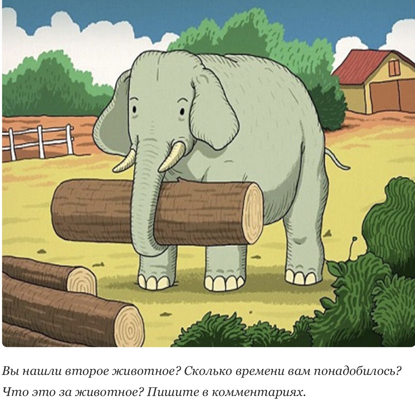 Посложнее задачка++, второе животное найдёте на картинке? - Askee ...